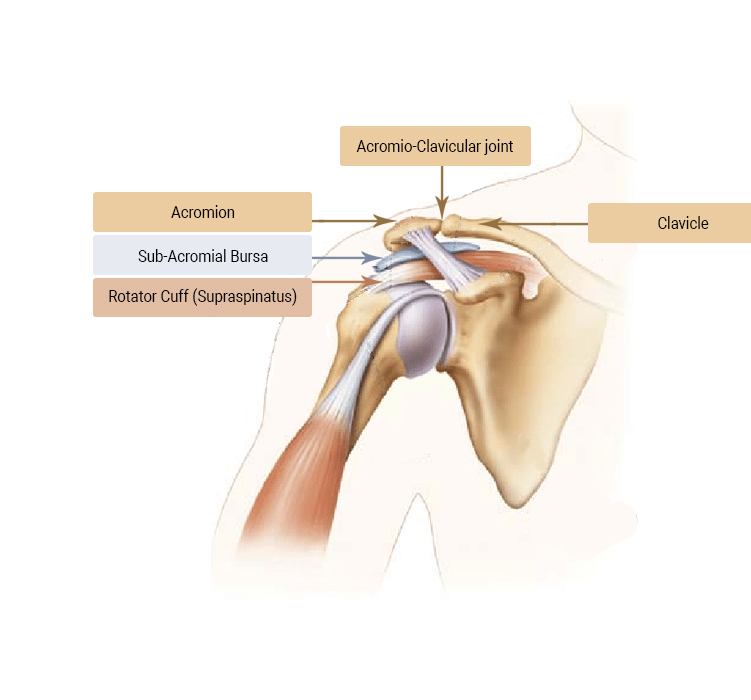 London Upper Limb Surgery